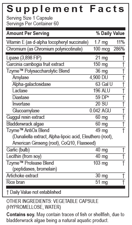 Product Assets - Transformation Enzymes