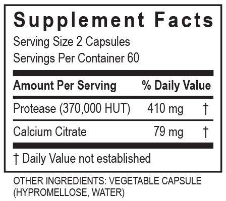 Product Assets - Transformation Enzymes