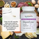 DigestZyme* - Transformation Enzymes