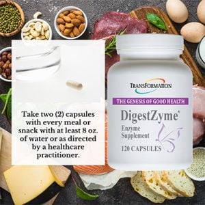 DigestZyme* - Transformation Enzymes
