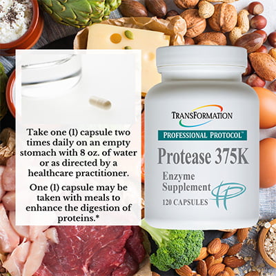 Protease 375K - Transformation Enzymes