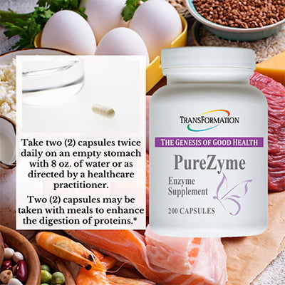 PureZyme - Transformation Enzymes