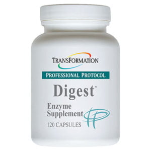 DigestZyme* - Transformation Enzymes