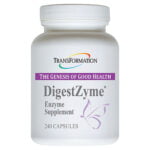 DigestZyme* - Transformation Enzymes