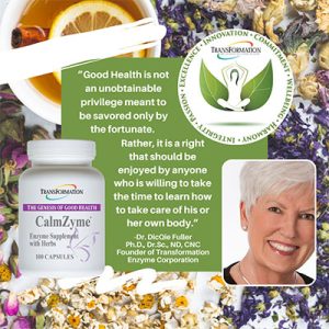 CalmZyme* - Transformation Enzymes