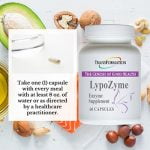 LypoZyme - Transformation Enzymes
