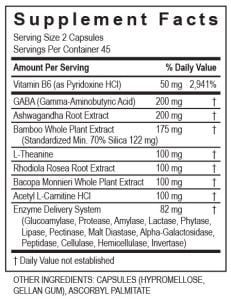 ReZEN - Transformation Enzymes