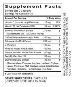 ReZEN - Transformation Enzymes