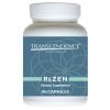 ReZEN - Transformation Enzymes
