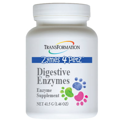 Shop - Transformation Enzymes